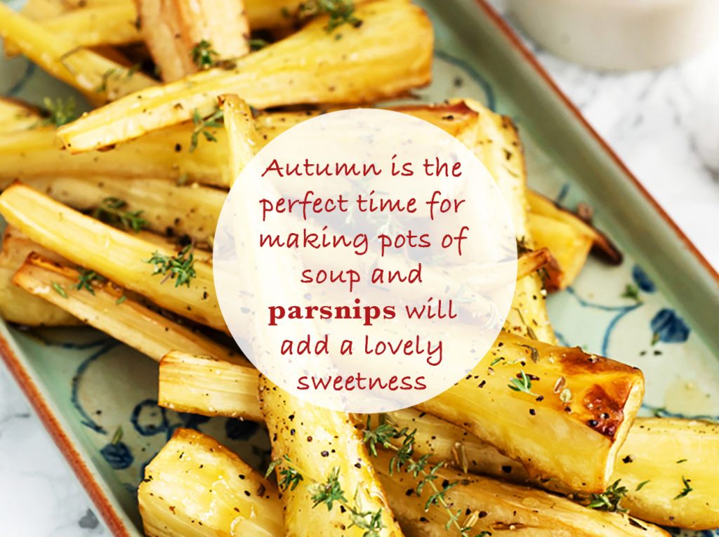 10 seasonal foods – autumn foods to fall for | 121 Dietitian